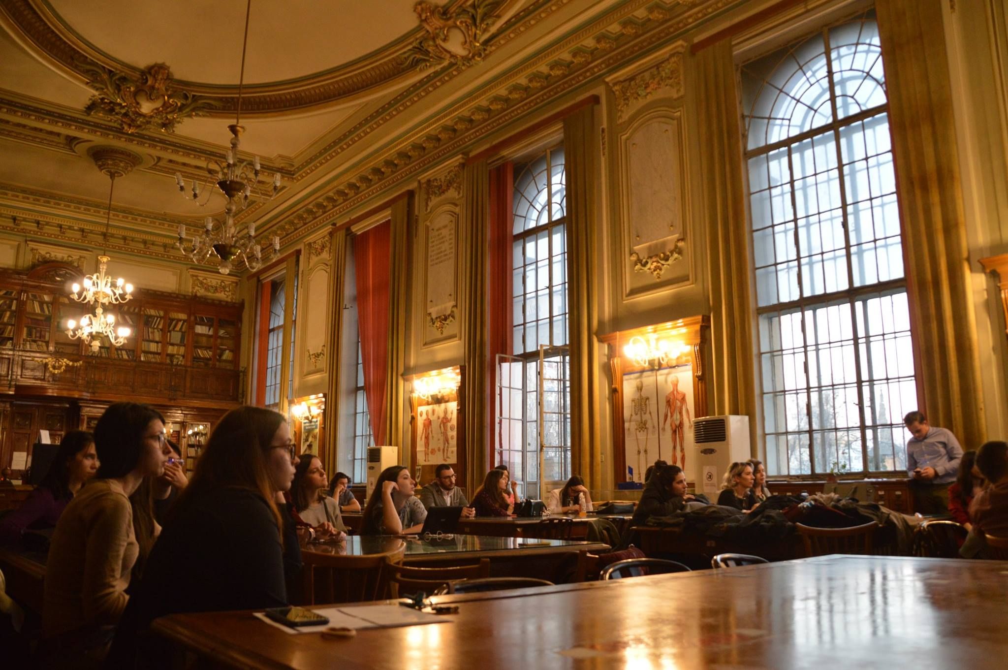 A Guide to Carol Davila University of Medicine and Pharmacy – EU STUDY